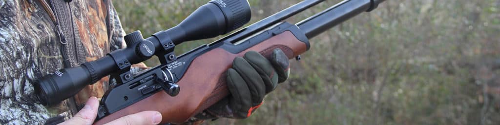 Pin Point: Top 10 Best Air Rifles | Improb