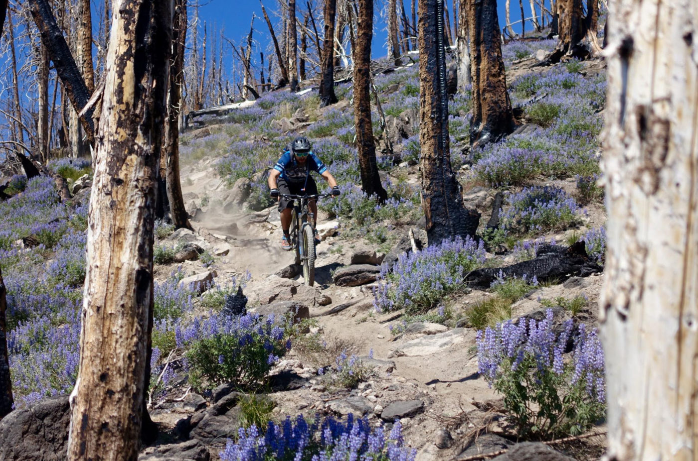 The 15 Best Mountain Bike Trails in the U.S. | Improb