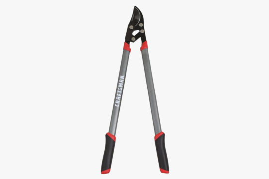 The 10 Best Loppers | Improb