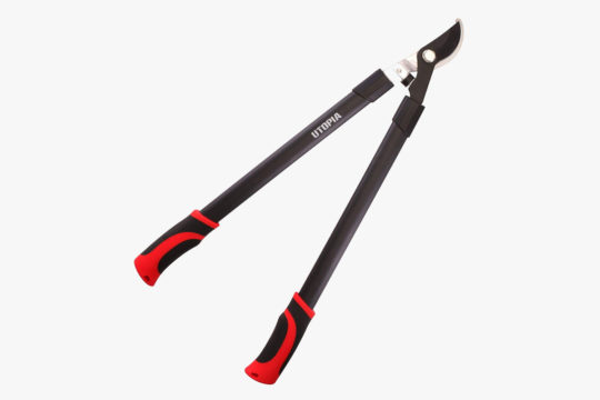 The 10 Best Loppers | Improb