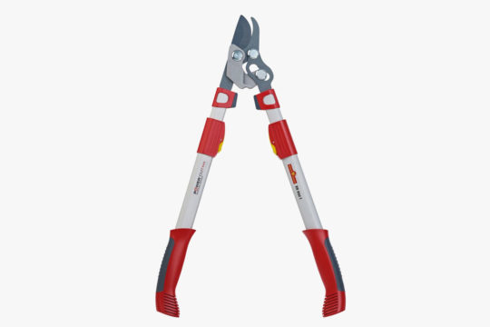 The 10 Best Loppers | Improb